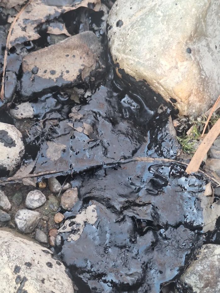 Maine investigates oil spill along the Kennebec River